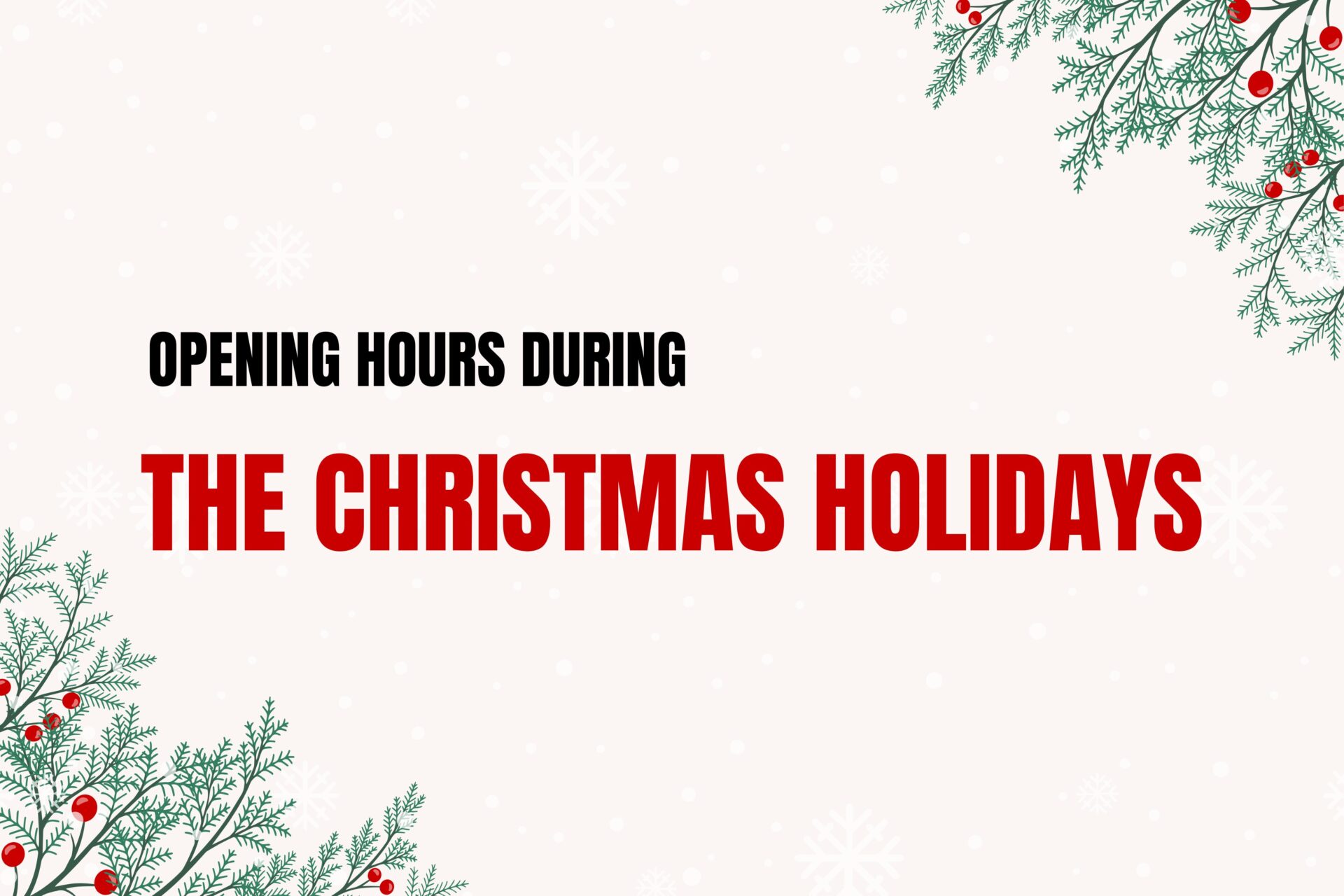 Holiday Operating Schedule for Christmas and New Year - W rent ...